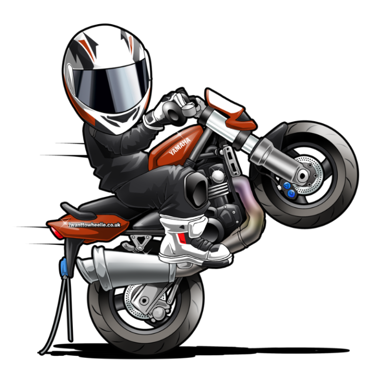 Photos are provided free with every course and are delivered via email.